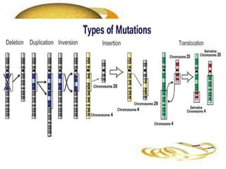 Evolutionary Genetics by: Kim Jim F. Raborar, RN, MAEd(ue) | PPT