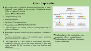 Gene Duplication and Genome Size Evolution: Mechanisms and Implications ...