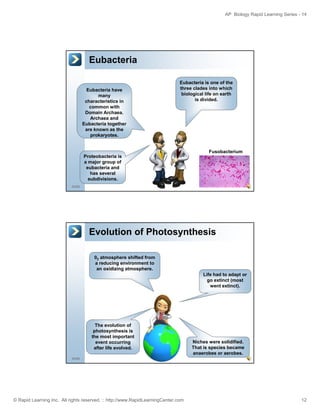 Evolutionary history | PDF