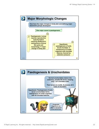 Evolutionary history | PDF