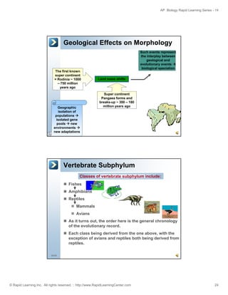 Evolutionary history | PDF