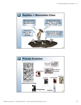 Evolutionary history | PDF