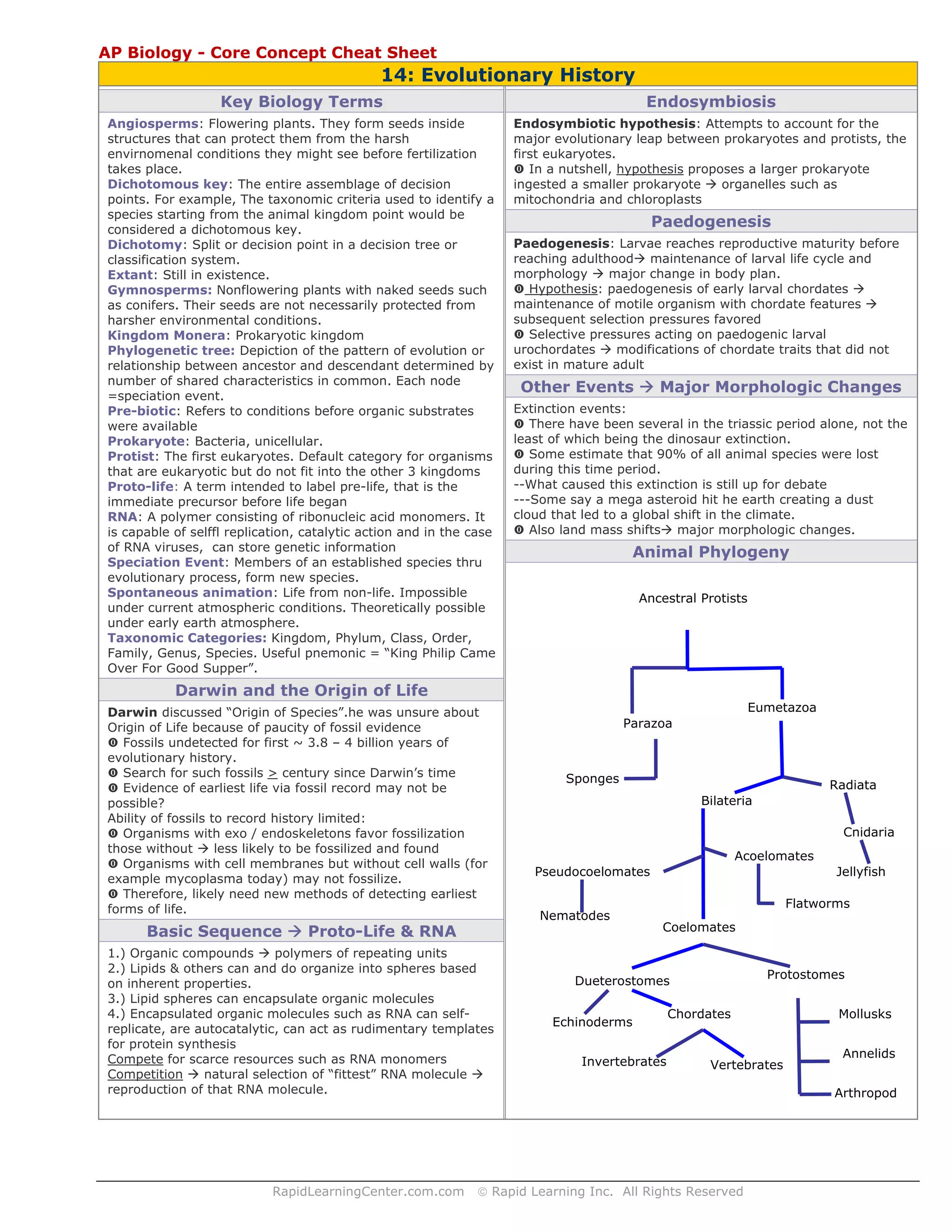 Evolutionary history cheat sheet | PDF | Geology | Science
