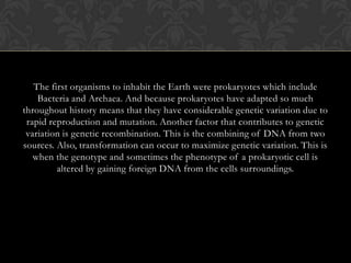 Evolutionary history of archaea and bacteria | PPT