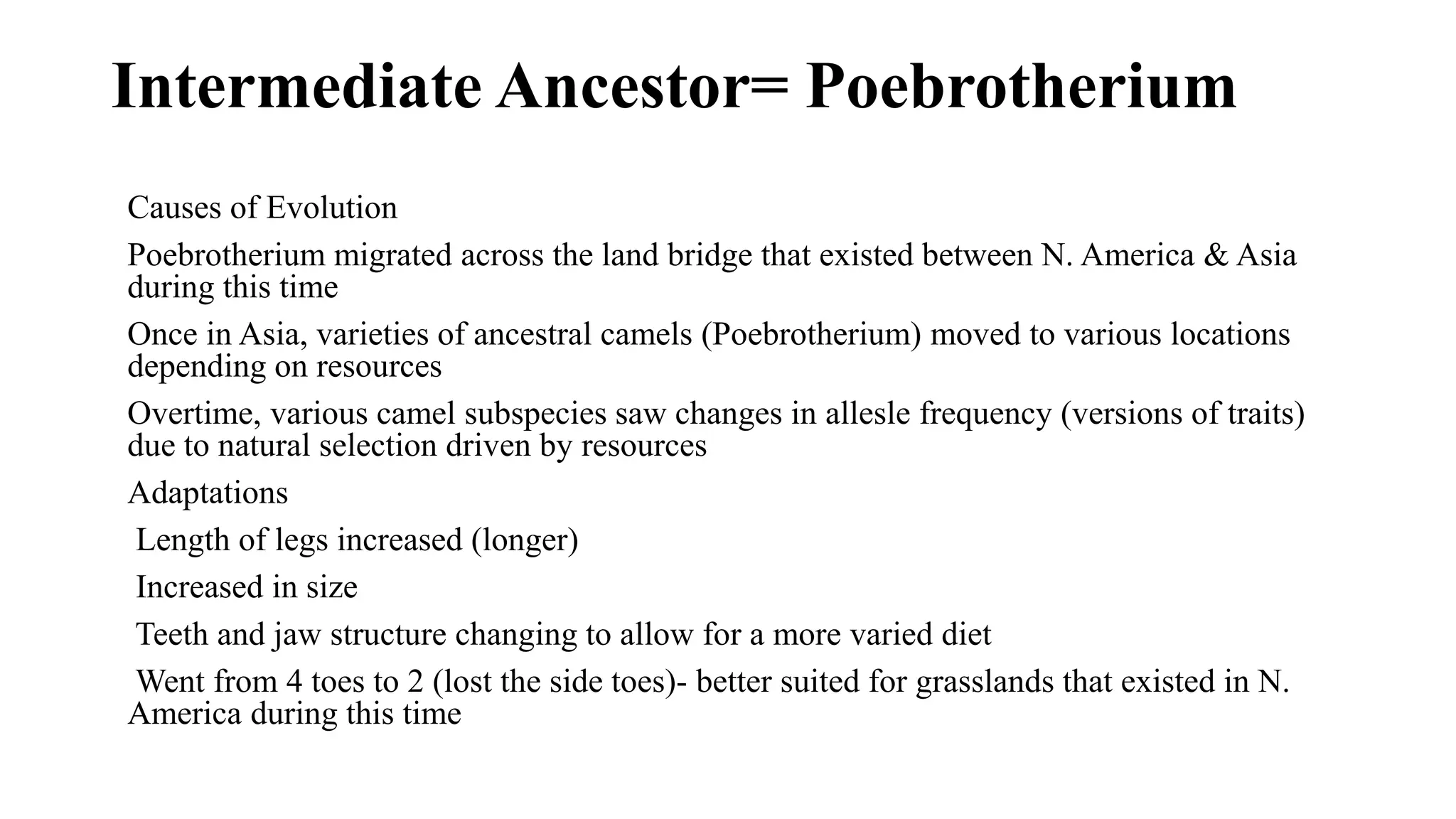 Evolutionary history of camels | PPTX
