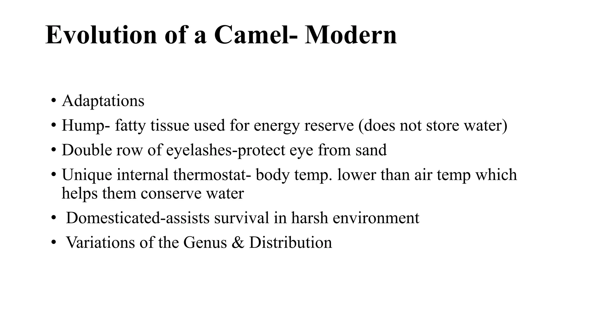 Evolutionary history of camels | PPTX