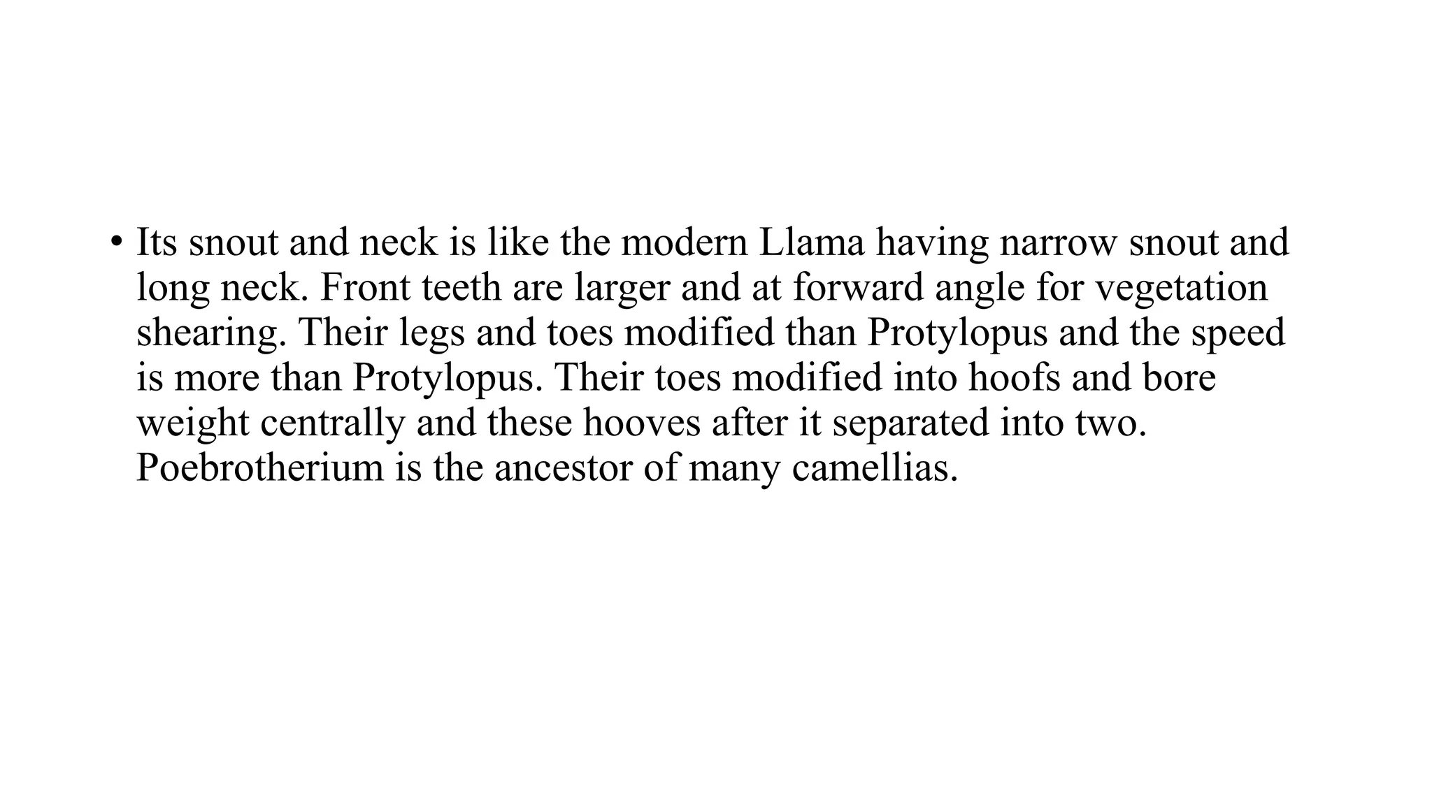 Evolutionary history of camels | PPTX