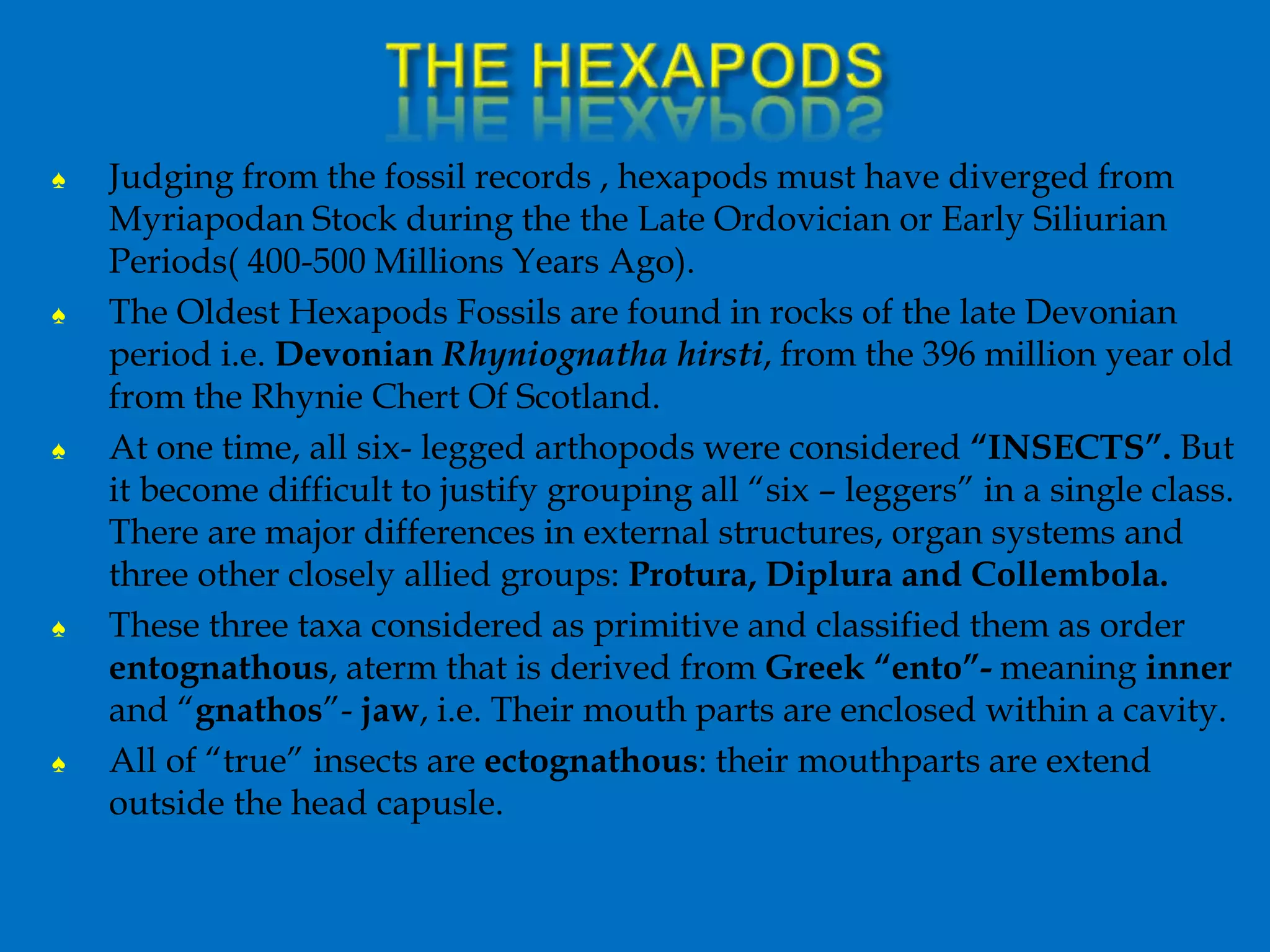 Evolutionary history of insects | PPTX