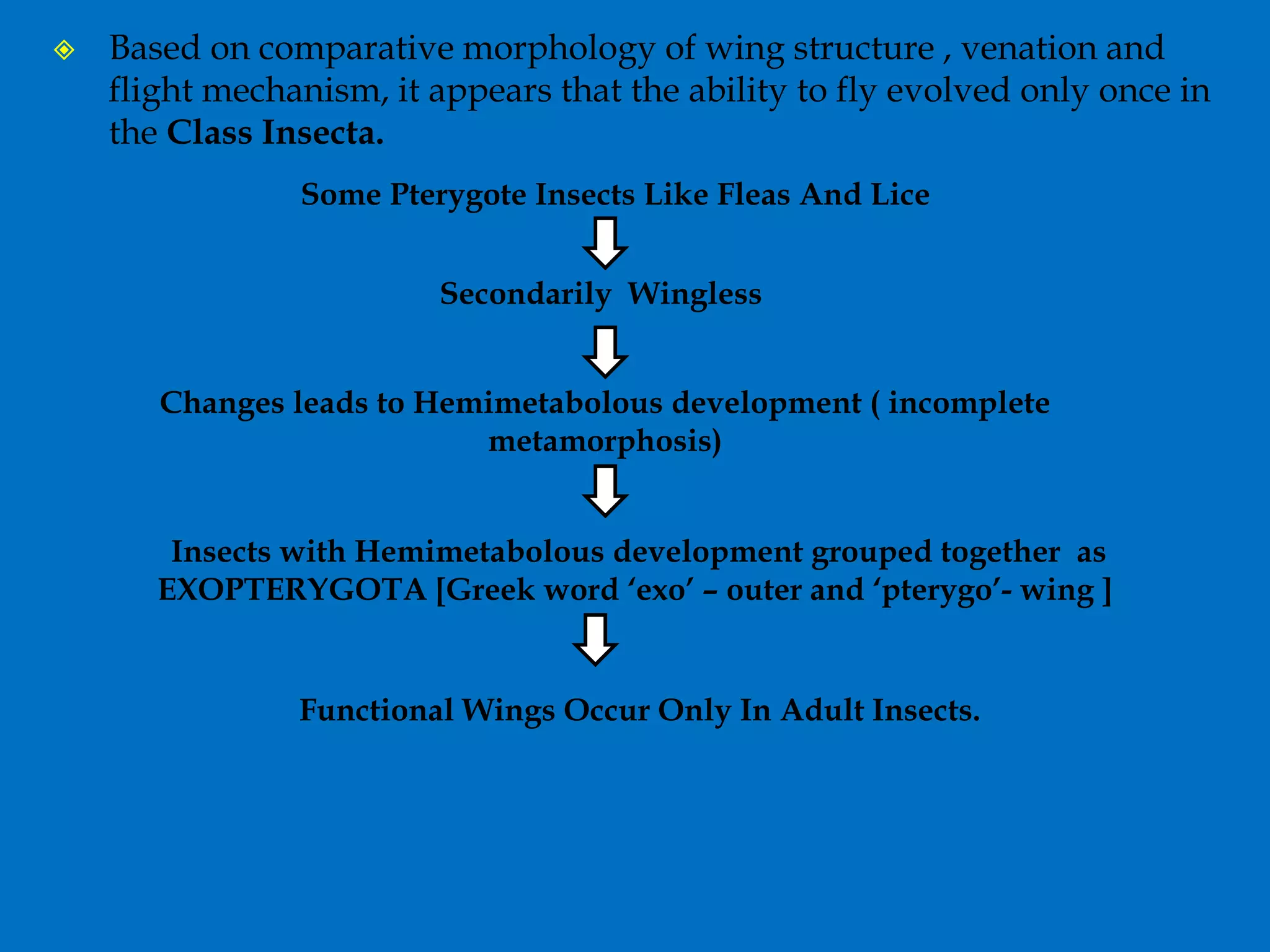 Evolutionary history of insects | PPTX