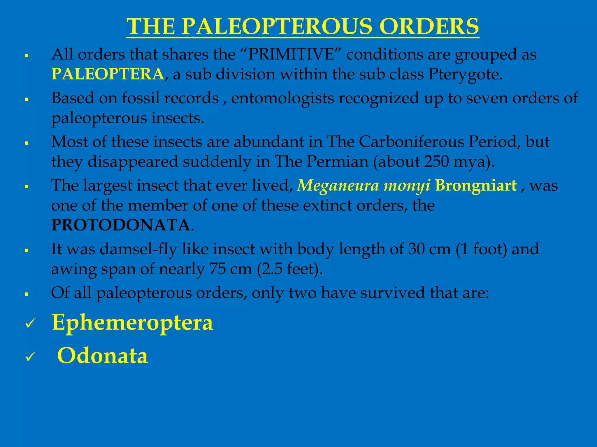 Evolutionary history of insects | PPTX