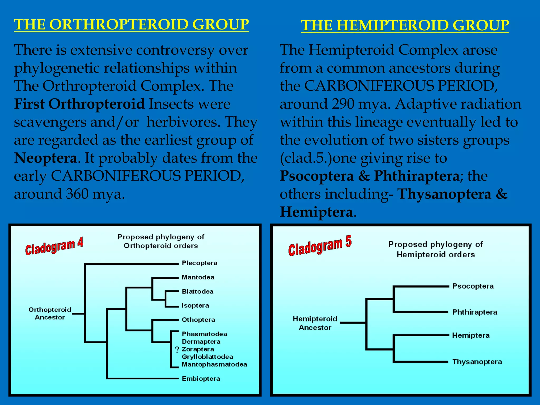 Evolutionary history of insects | PPTX
