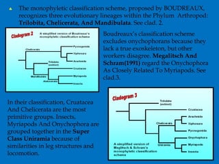Evolutionary history of insects | PPTX