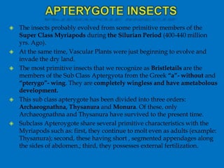 Evolutionary history of insects | PPTX