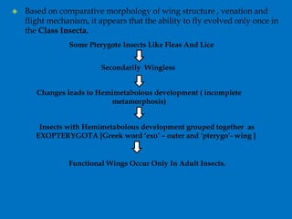 Evolutionary history of insects | PPTX