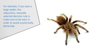 Introducing Evolutionary Leadership | PDF
