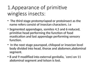 evolutionary lines of insects update.pptx