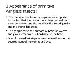 evolutionary lines of insects update.pptx