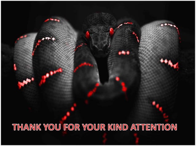 evolutionary perspective roll no 49.pptx