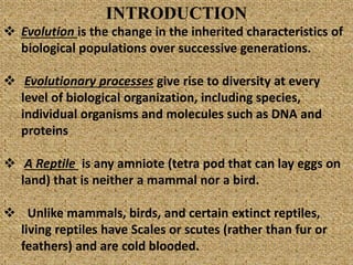 evolutionary perspective roll no 49.pptx
