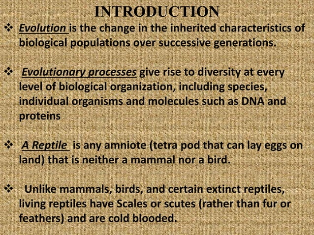 evolutionary perspective roll no 49.pptx
