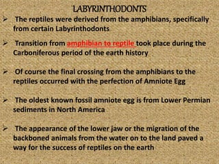 evolutionary perspective roll no 49.pptx