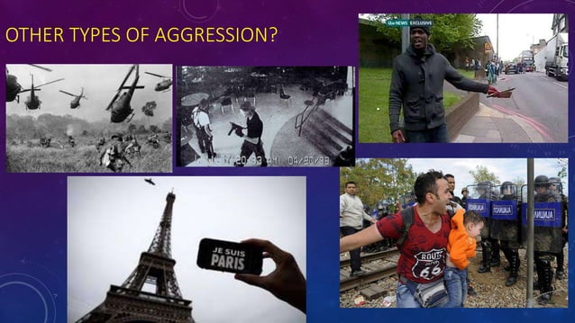 Evolutionary psychology - Aggression | PPT