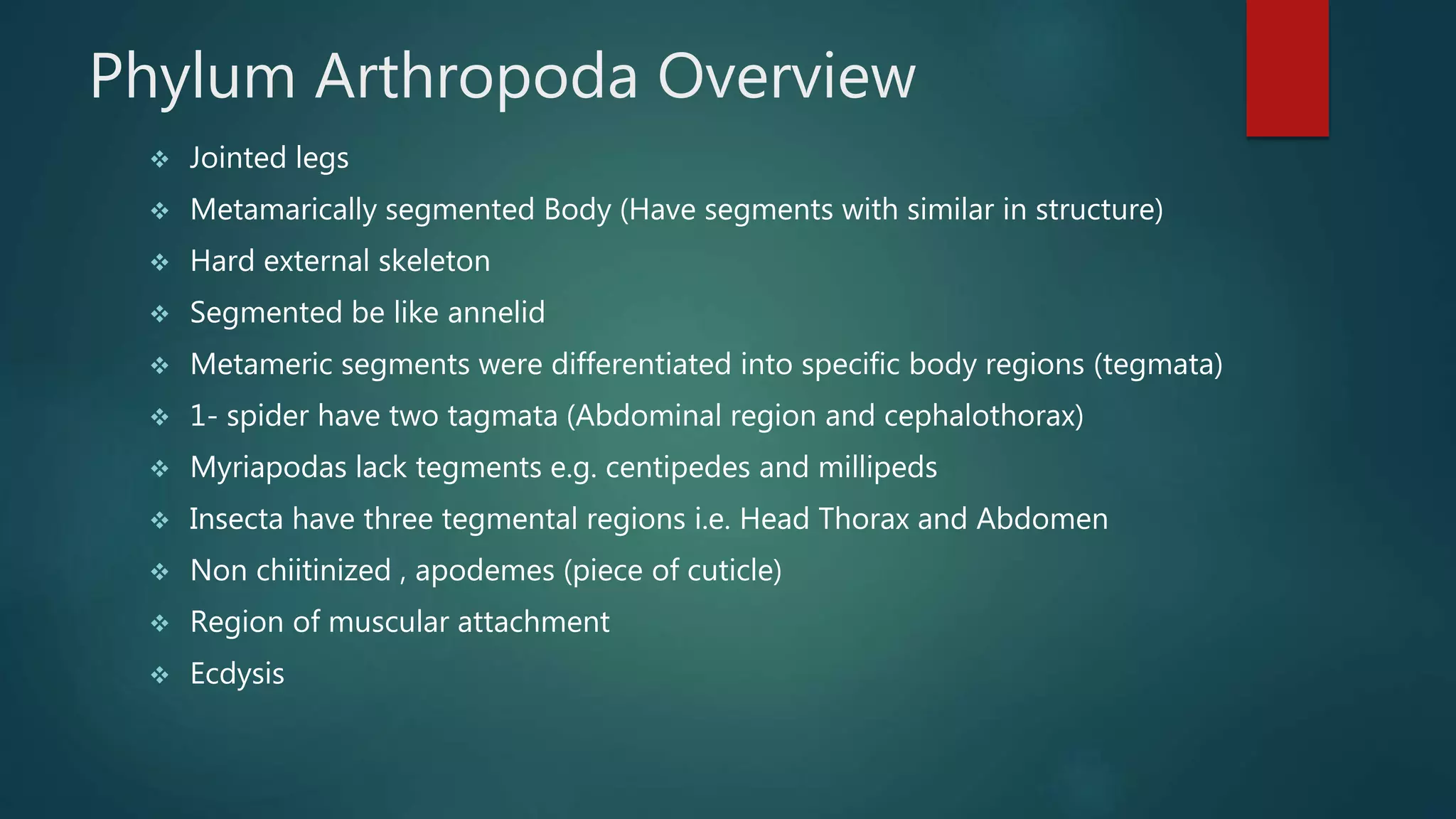 Evolutionary relationship of phylum Arthropda and class insecta | PPT