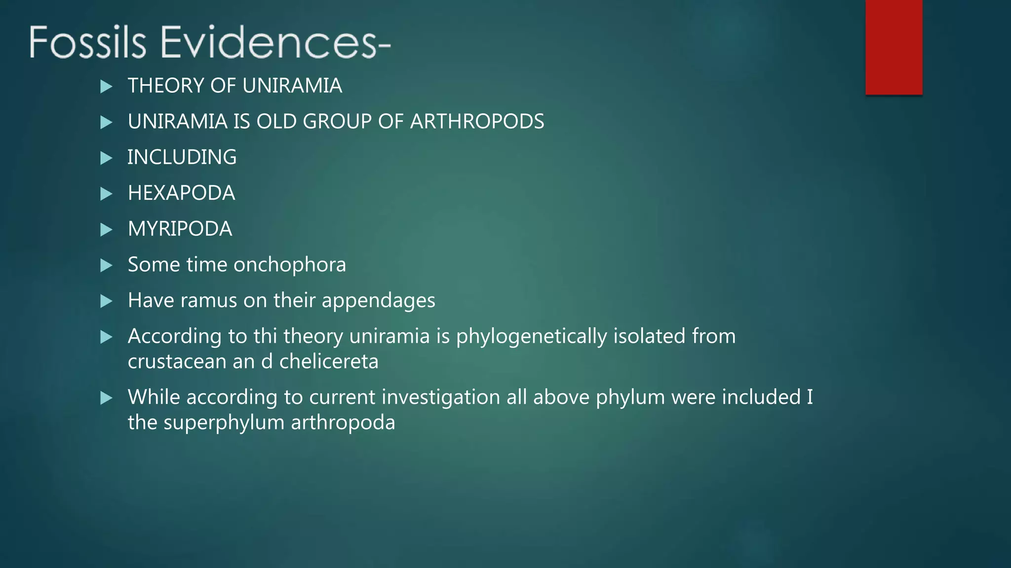 Evolutionary relationship of phylum Arthropda and class insecta | PPT