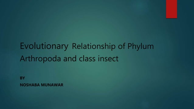 Evolutionary relationship of phylum Arthropda and class insecta | PPT
