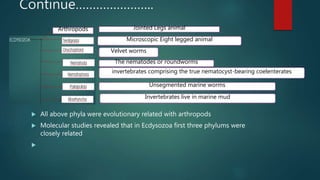 Evolutionary relationship of phylum Arthropda and class insecta | PPTX