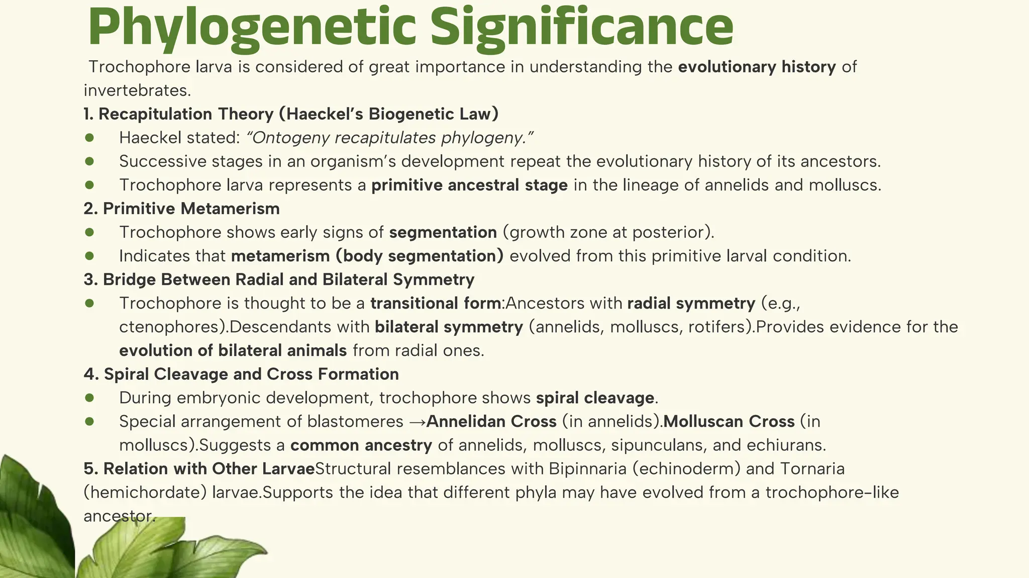 Evolutionary significance of trochophore larva | PDF