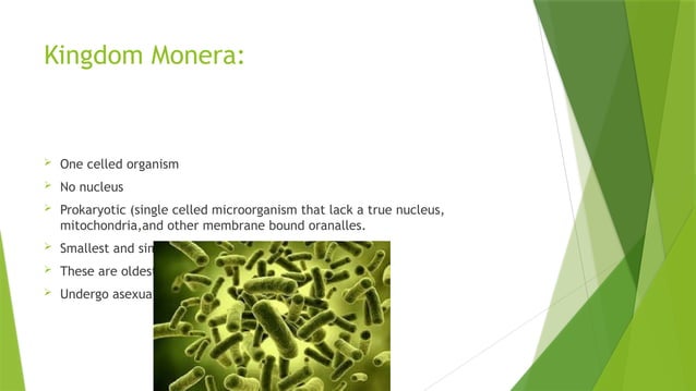 Evolutionary tendencies in Monera.pptx 1 | PPT