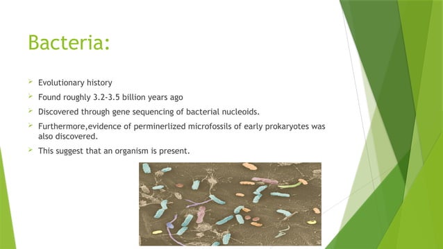 Evolutionary tendencies in Monera.pptx 1 | PPT