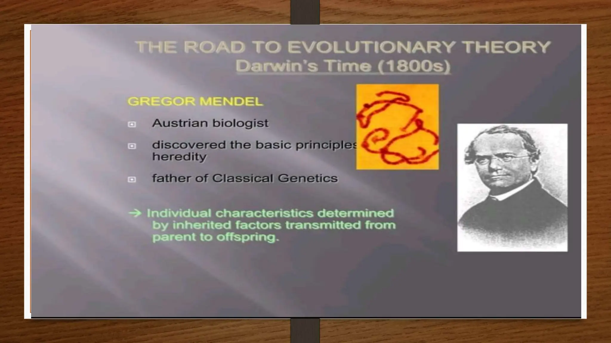 evolutionary thought.pptxevolutionary thought.pptx