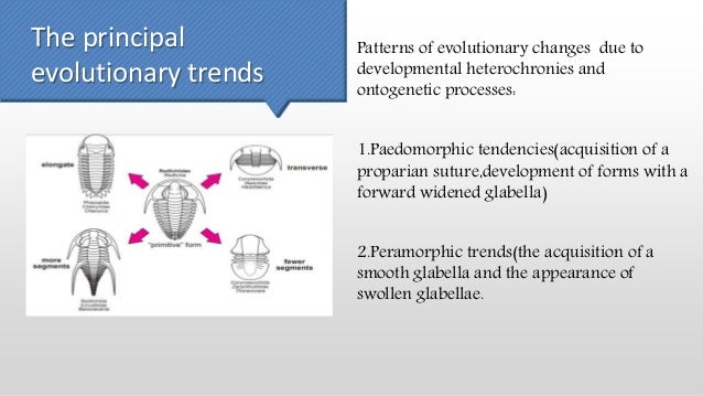Evolutionary Trend in Trilobites | Invertebrate Paleontology | Geology ...