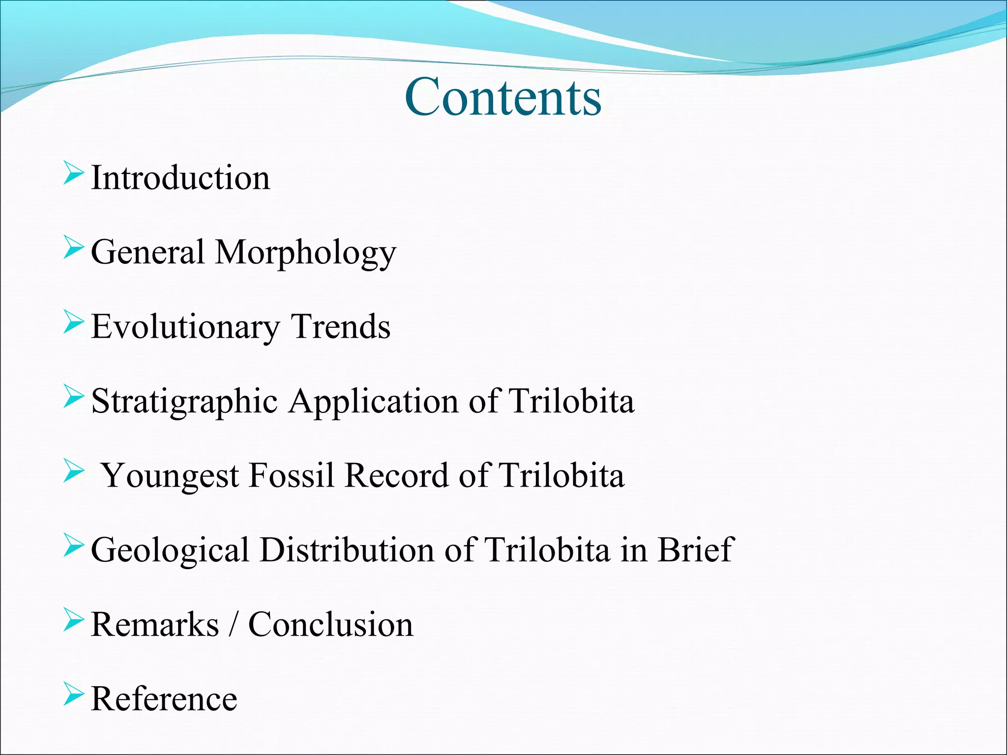 Evolutionary trends in trilobites | PPT