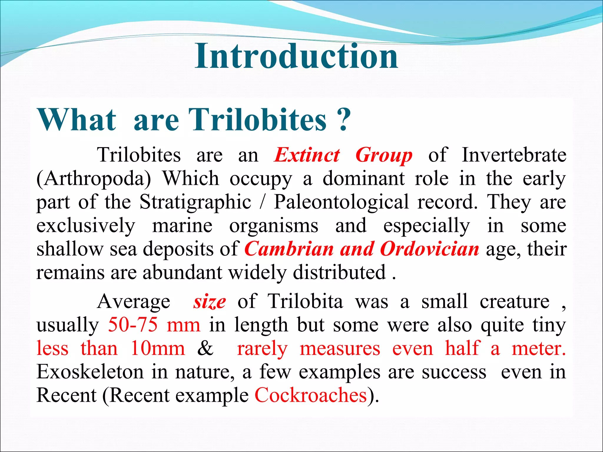 Evolutionary trends in trilobites | PPT