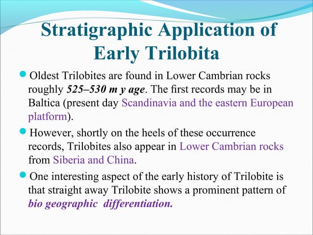 Evolutionary trends in trilobites | PPT