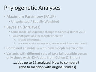 Combined Analysis of Extant Rhynchonellida (Brachiopoda) Using ...