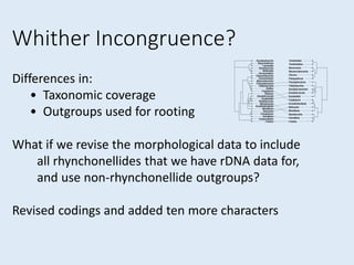 Combined Analysis of Extant Rhynchonellida (Brachiopoda) Using ...