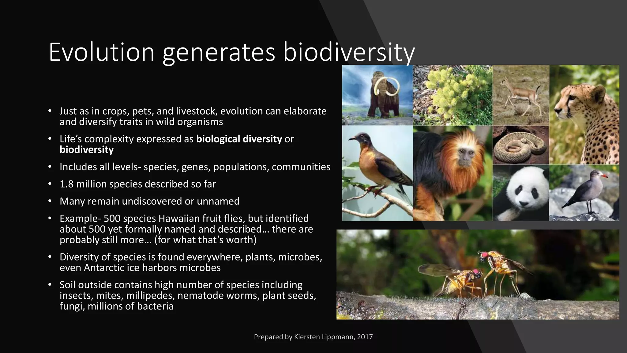Evolution, Biodiversity, and Population ecology | PPTX