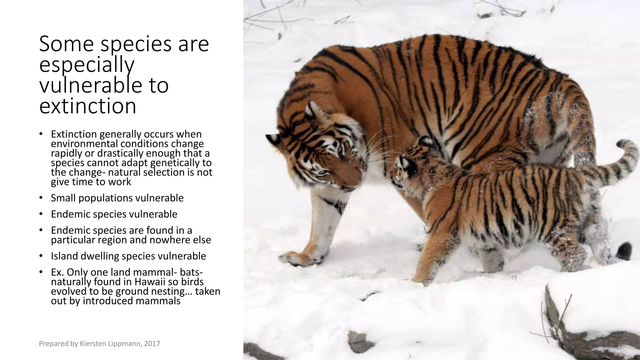 Evolution, Biodiversity, and Population ecology | PPTX