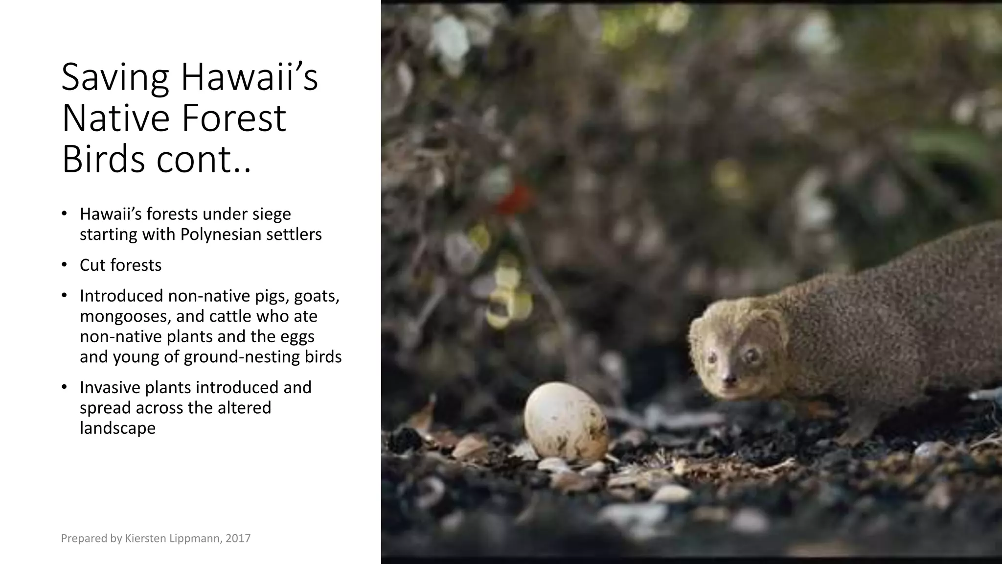 Evolution, Biodiversity, and Population ecology | PPTX