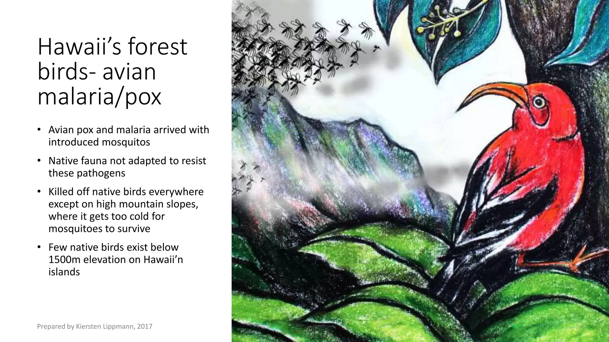 Evolution, Biodiversity, and Population ecology | PPTX