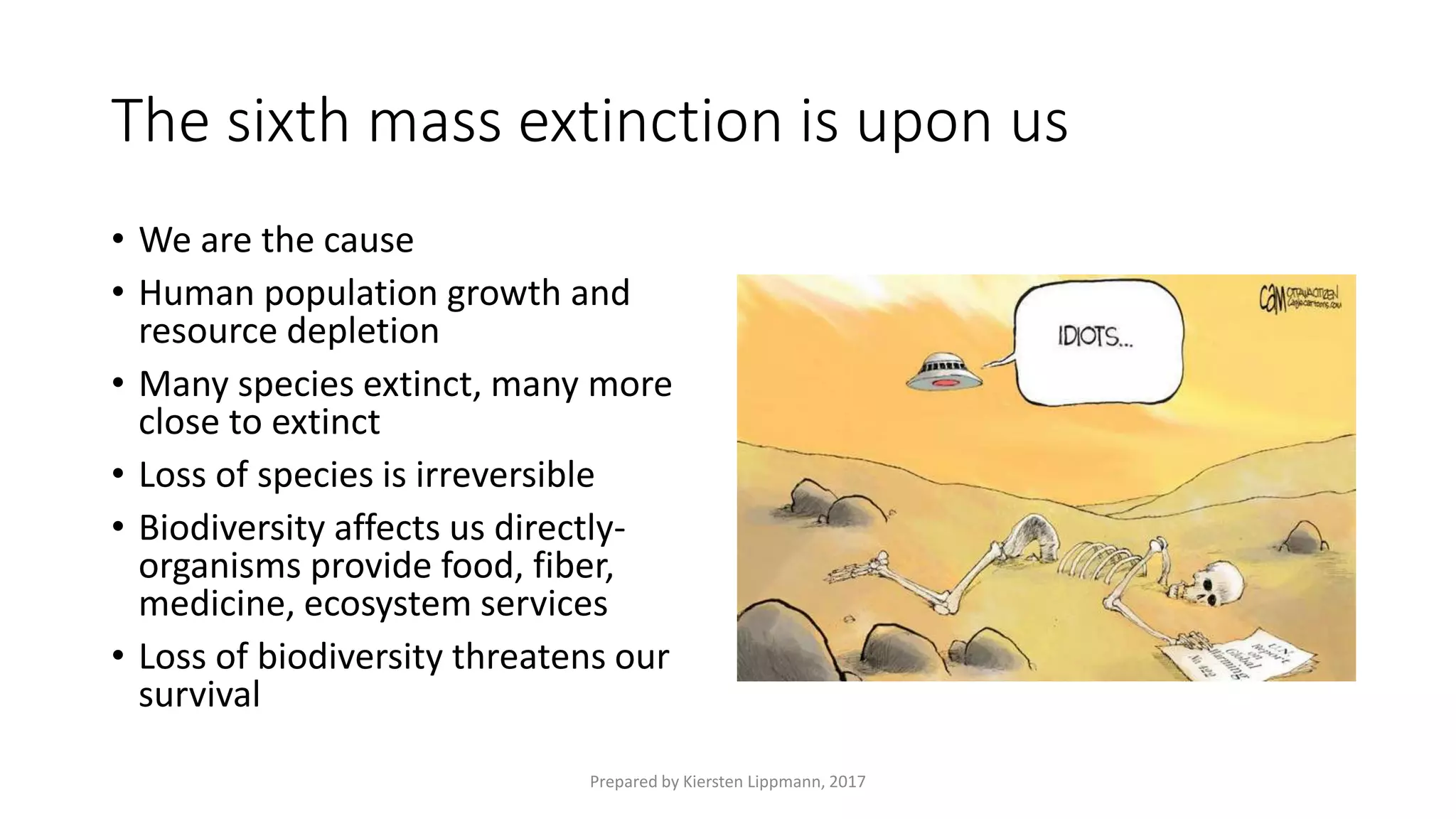 Evolution, biodiversity, and population ecology by Kiersten Lippmann | PPTX