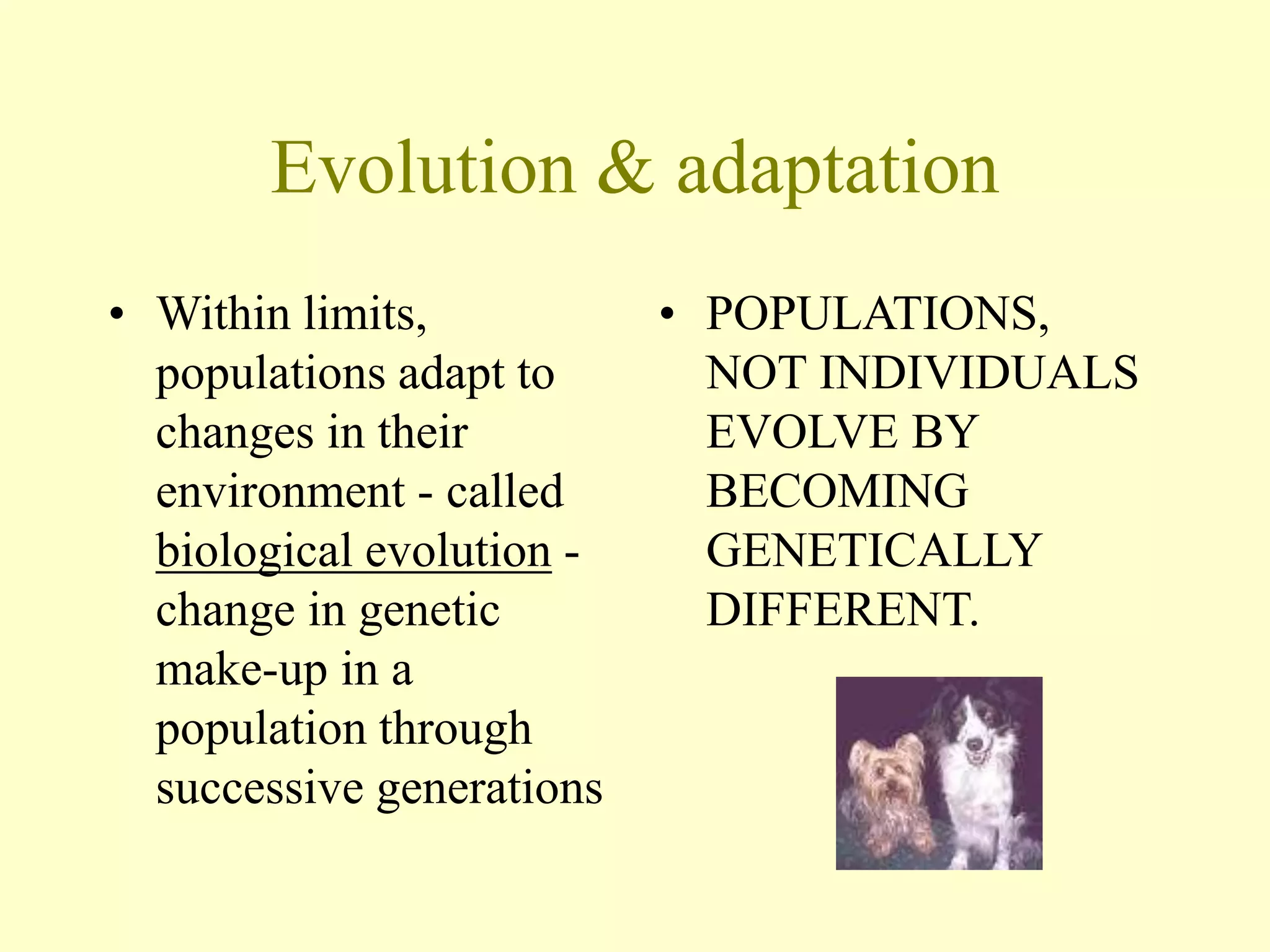evolution__biodiversity_ppoint.ppt