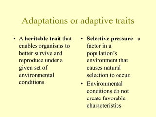evolution__biodiversity_ppoint.ppt