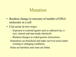 evolution__biodiversity_ppoint.ppt