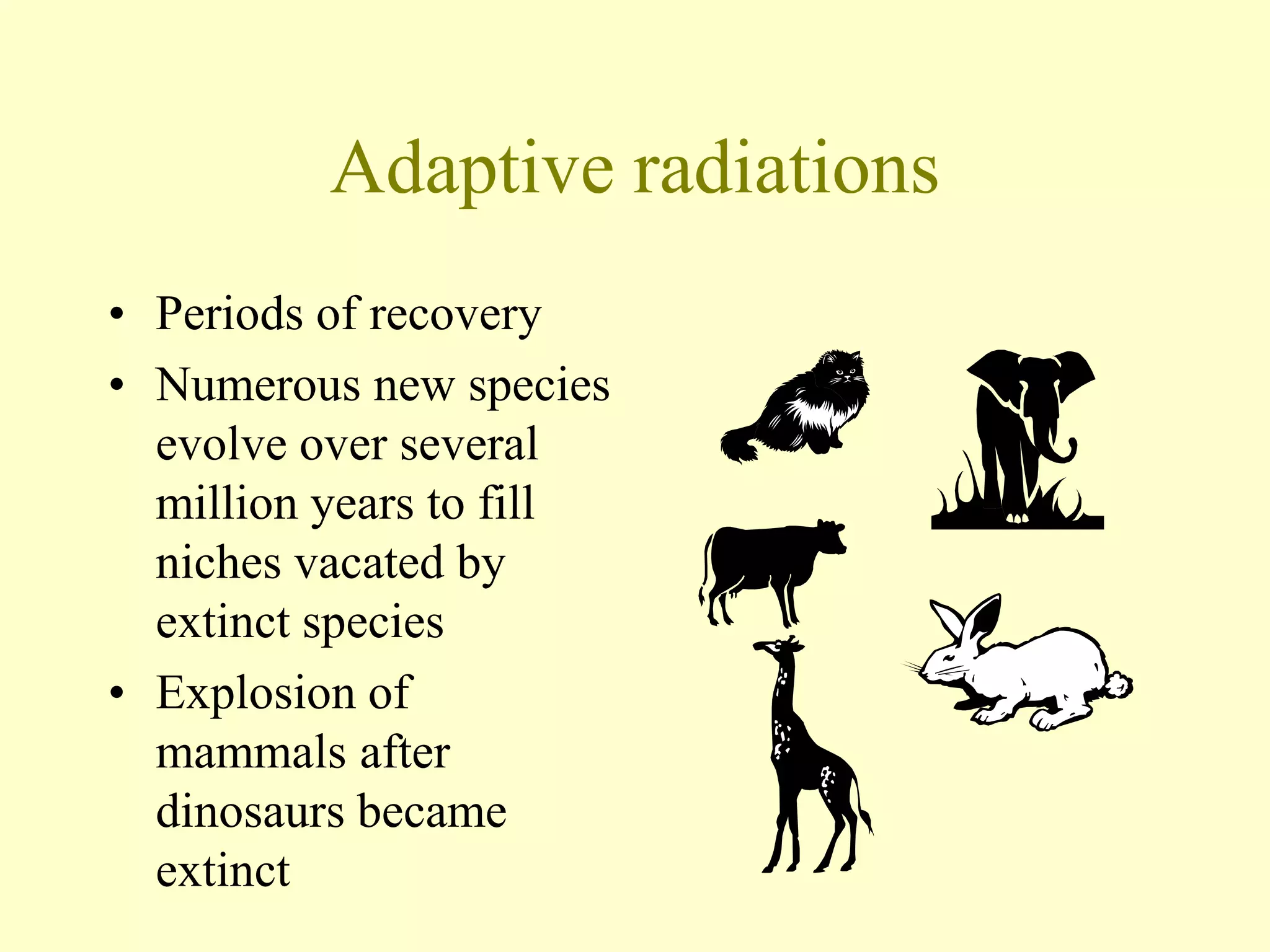 evolution__biodiversity_ppoint.ppt