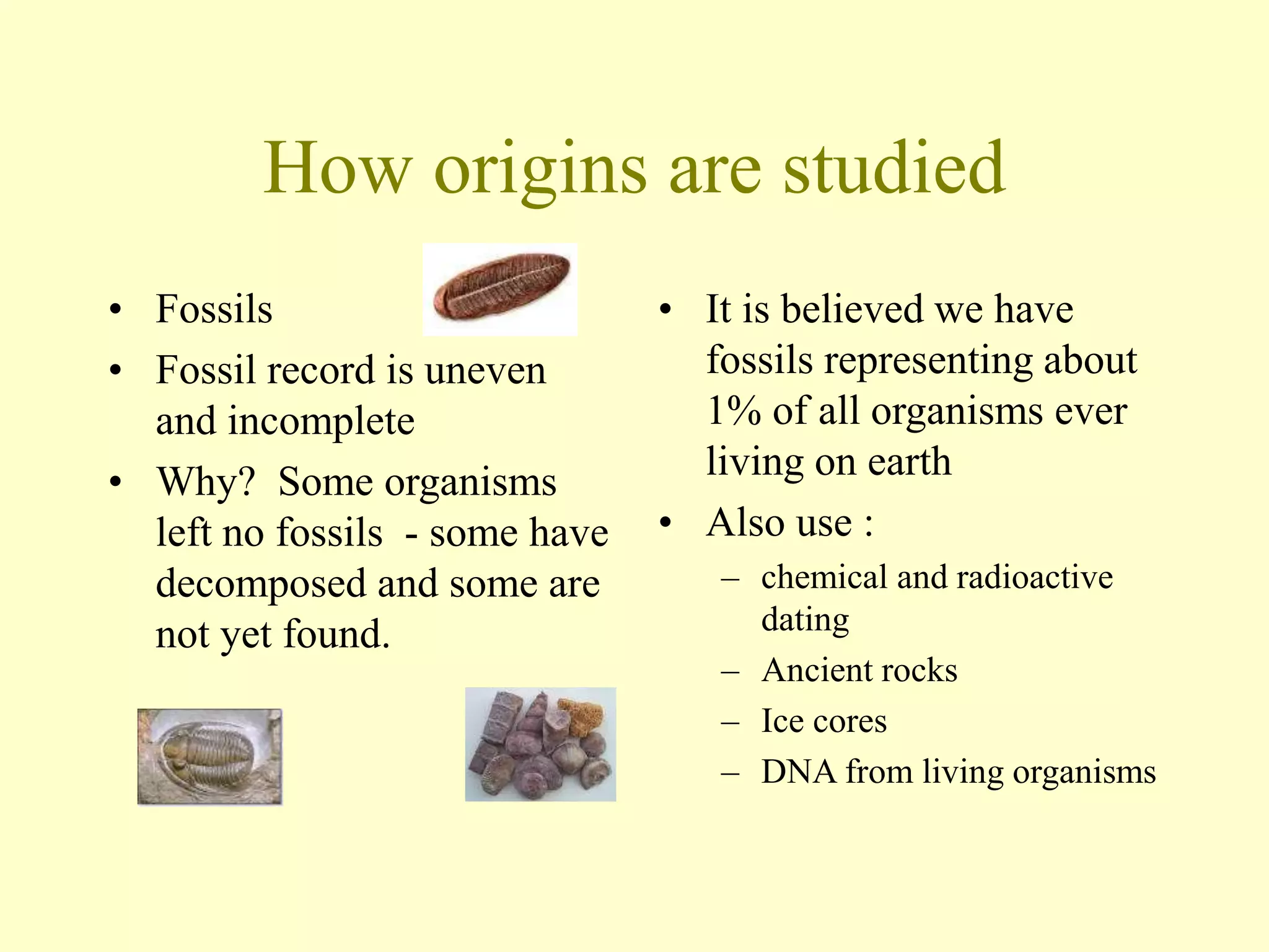 evolution__biodiversity_ppoint.ppt